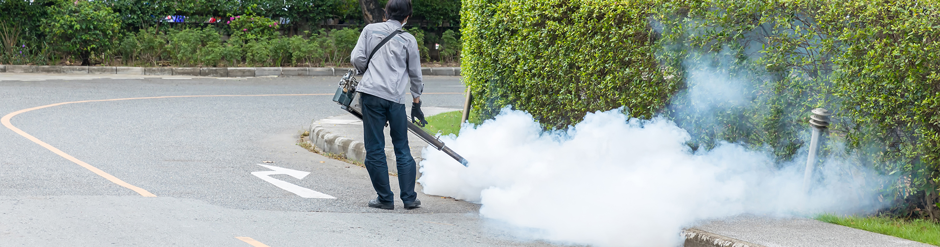 Mosquito Control - Mosquito Control Service